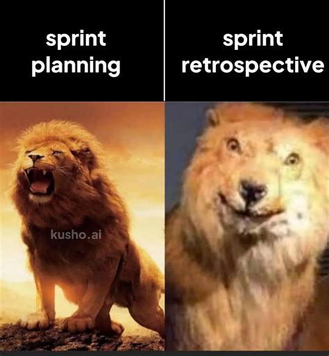The Agile Expectation Vs Reality Lion ·