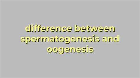 Difference Between Spermatogenesis And Oogenesis Sinaumedia