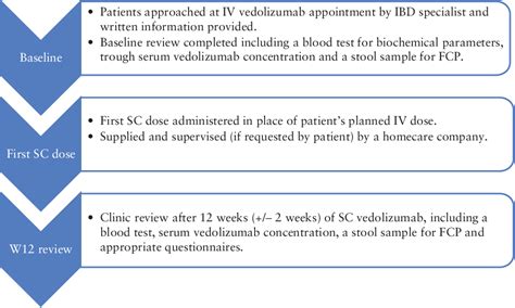 Figure 1 From Transitioning From Intravenous To Subcutaneous