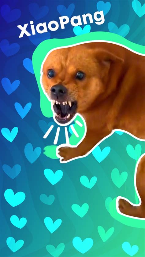 Xiao Pang Memes Xu Liang Tumblr