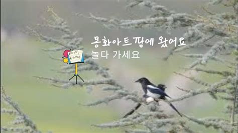 숲속 친구들 Youtube