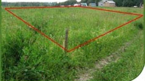 Incorrectly Registered Land Plots To Be Recognized As Ownerless From