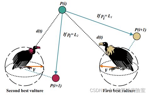 【智能算法】非洲秃鹫优化算法（avoa原理及实现 Csdn博客