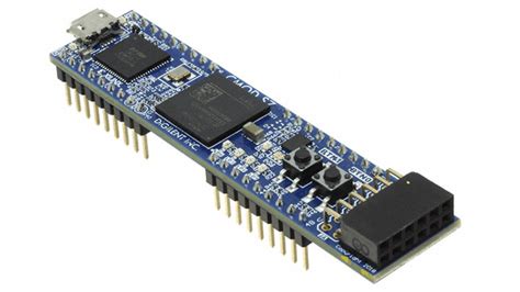 Top Xilinx Spartan FPGA Development Board Guide Datasheets