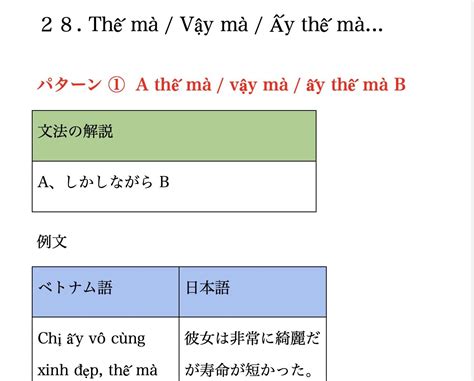 Vvレッスンの教材は？独自に販売している単語帳や文法書を紹介│オンラインベトナム語は Vvレッスン