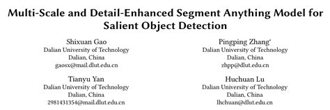 【acmmm2024】multi Scale And Detail Enhanced Segment Anything Model For