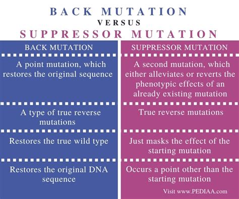 What Is The Difference Between Back Mutation And Suppressor Mutation