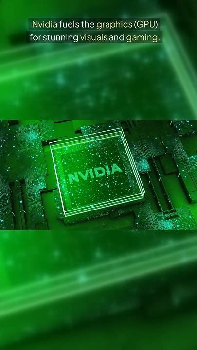 Ryzen Vs Nvidia Which One Is Better For Gaming And Performance In 2024