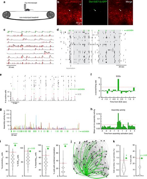 Ebgabas Correlate With Population Synchrony And Show High Functional
