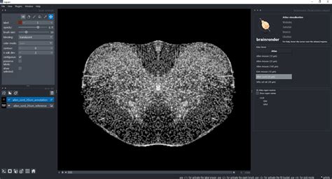 Spinal Cord Atlas Appears Squashed In Abba Python Usage And Issues