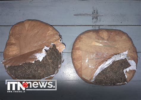 ලක්ෂ 10 ක කේරළ ගංජා සමග පුද්ගලයෙකු කොටු වෙයි Itn News දේශීය පුවත්