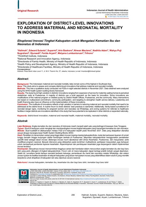 Pdf Exploration Of District Level Innovations To Address Maternal And Neonatal Mortality In
