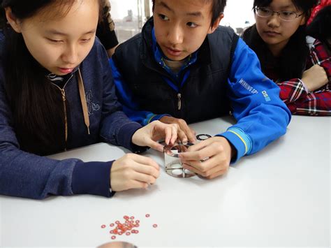 Diy Afm Atomic Force Microscope 自己動手做原子力顯微鏡 15 Steps With Pictures Instructables