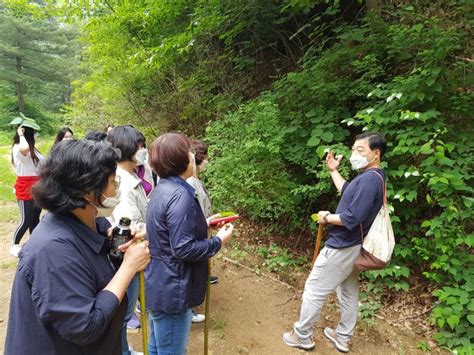산림청 코로나19 대응인력 ‘숲 치유 확대 지원 아시아경제