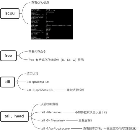 Linux基础命令xmind脑图ximnd的shell脚本 Csdn博客 Linux基础命令xmind脑图ximnd的shell脚本 Csdn博客