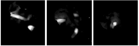 Degree Of Curvilinearity A C Original Data D F Degree Of