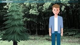 Quiz Worksheet Ecological Sampling Study Com