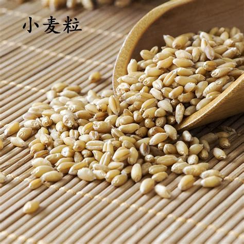 小麦米怎样做 小麦米怎样做好吃 如何煮小麦米 第2页 大山谷图库