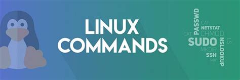 ansh mathur on linkedin day 2 mastering the linux🐧 command line
