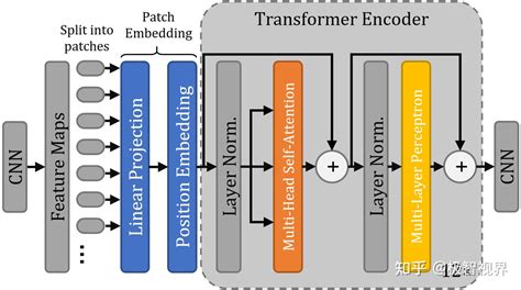 3d医疗图像配准 基于vision Transformerpytorch实现的3d医疗图像配准算法 知乎