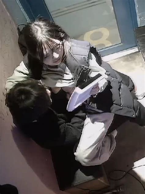 IP 카메라 인색 한 고양이