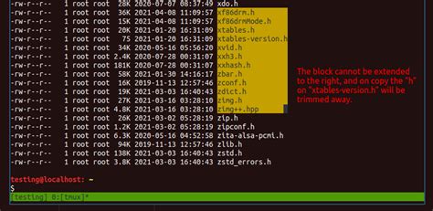 Tmux Rectangle Copy Mode Via Keyboard Broken For Eol Selection On Short Lines · Issue 2709
