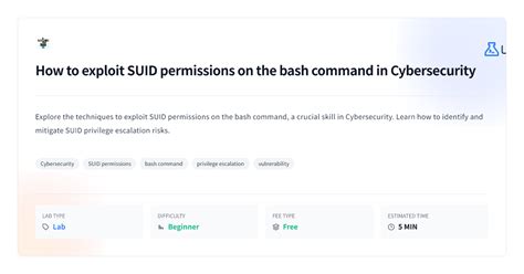 How To Exploit Suid Permissions On The Bash Command In Cybersecurity
