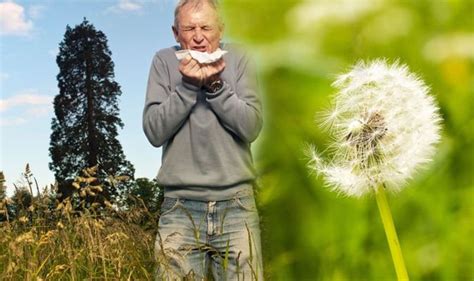 Pollen Count The Top Ten Triggers That Make The Symptoms Worse Express Co Uk