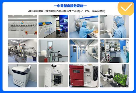 永生化细胞 细胞系专用培养基 报价 价格 性能参数 图 中乔新舟 生物器材网