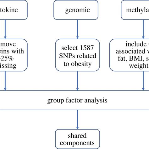 A Data Processing Flow Chart For The Gfa Analysis Download
