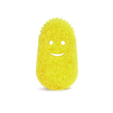 Set Rezerve Burete Scrub Daddy Dish Daddy 2 Bucati Emag Ro