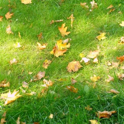 Python制作学生成绩管理系统 知乎