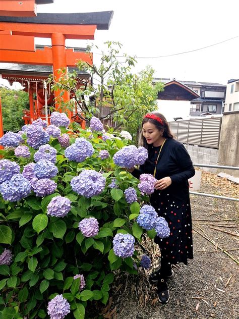 Shuudertsetseg On Twitter Оройн мэнд жиргээ Kyotod аялж явна Inari сүм мянган хаалга Zen