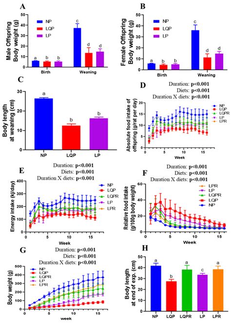 Effect Of Maternal Protein Restriction Followed By Rehabilitation On