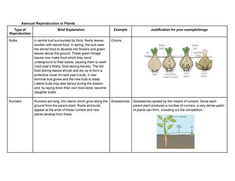Types Of Asexual Reproduction In Plants Class 7 At Joan Lippert Blog