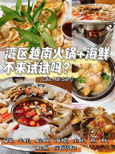 湾区美食好吃的越南火锅 海鲜不来试试吗 社区城市精选
