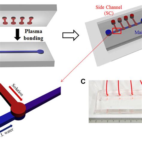 Cfd Model Of The 3d Multi Layer Microfluidic Gradient Generator