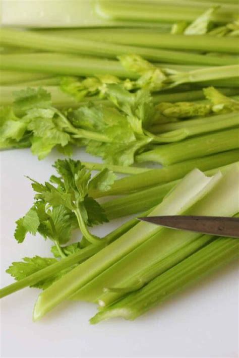 Does Celery Go Bad How To Tell If Celery Is Bad Eat Your Beets