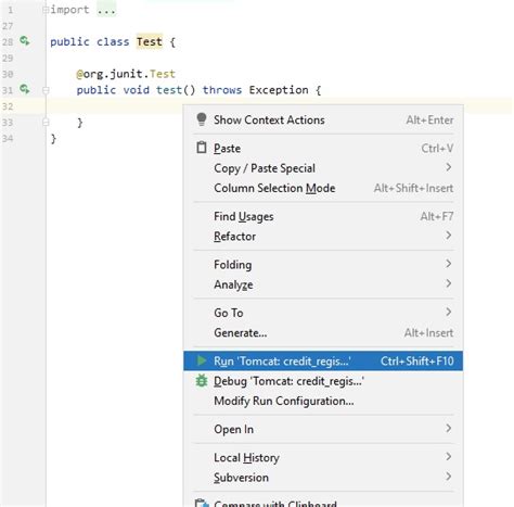 Tomcat Is Launched Instead Running A Test From The Context Menu Issue Zengkid