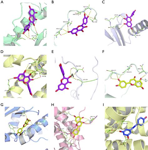Compound Docking With The Target Protein Molecule The Yellow Dotted Download Scientific