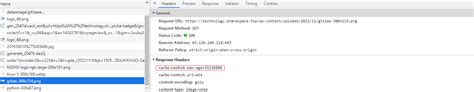 Nginx 设置浏览器缓存过期时间 Technology Sharing