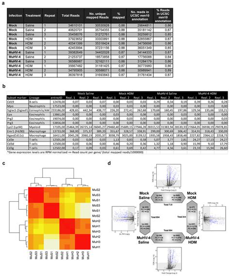 Details Of The Transcriptomics Analysis Of Ams A Sequence And Mapping Download Scientific