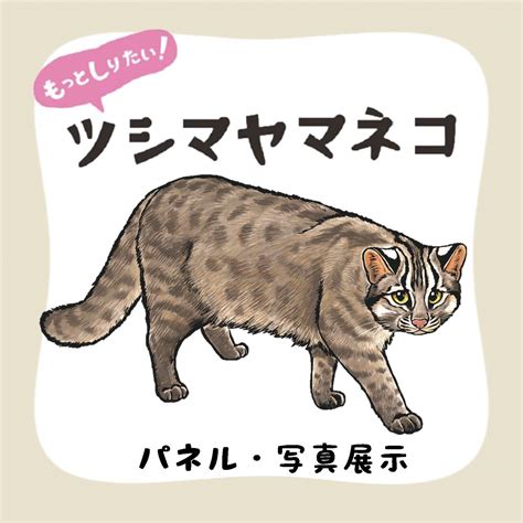 福岡市動物園ヤマネコ祭2022を開催します