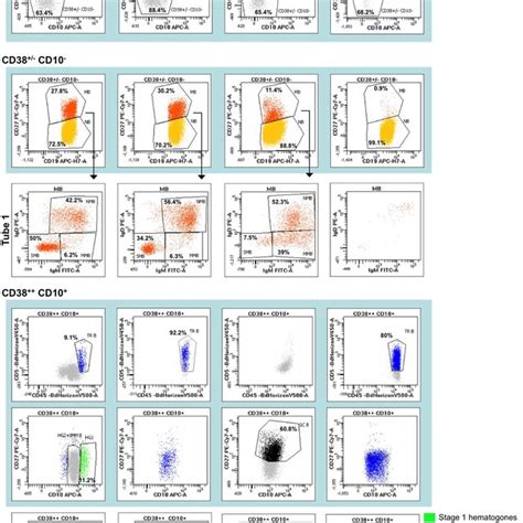 Gating Strategy For B Cell Subsets Identification Dot Plots On Blue