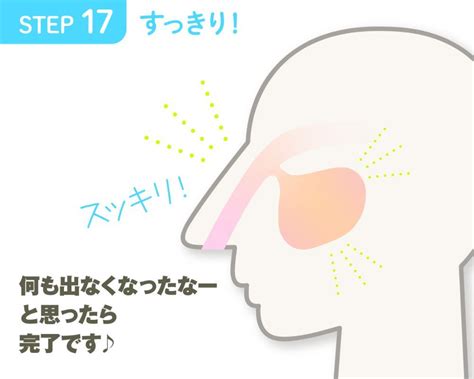 副鼻腔炎・蓄膿症の膿をスッキリ出して楽になりたい！自己流「吸引鼻うがい」 たまごごはん Tamago Pie Chart Chart