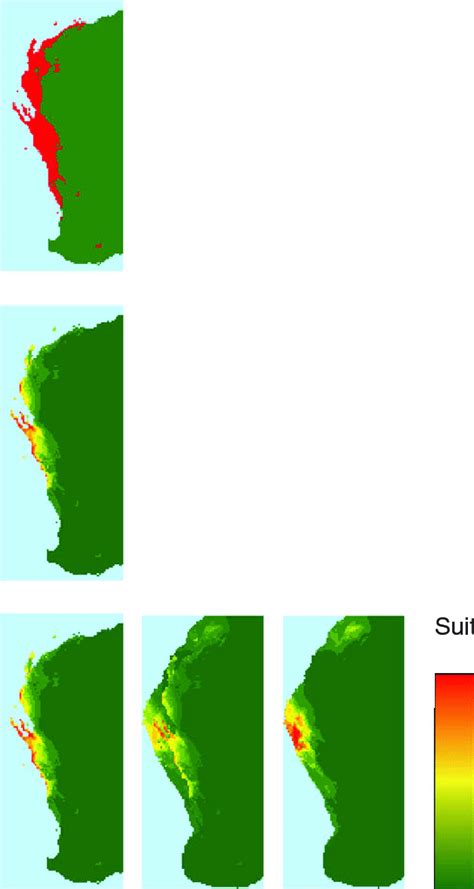 schematic of the three spatially explicit models used in the