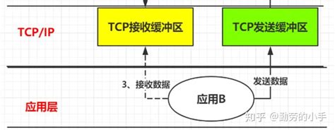 100 弄明白5种IO模型 知乎