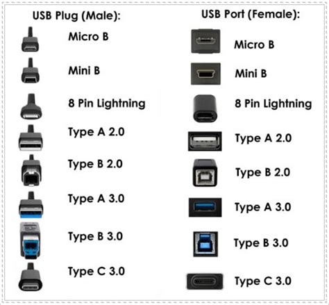 Usb Type B Connectors And Their Compatibility Webllena