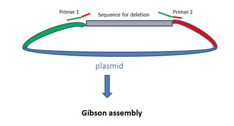 Any Advice On The Methodology Of Internal Domain Deletion Analysis