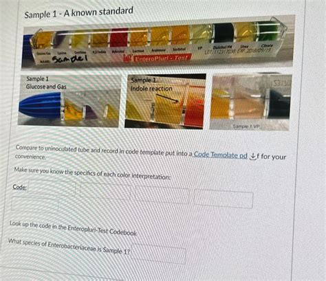 Solved When Keying Out The Code For Each Bacterium It Helps